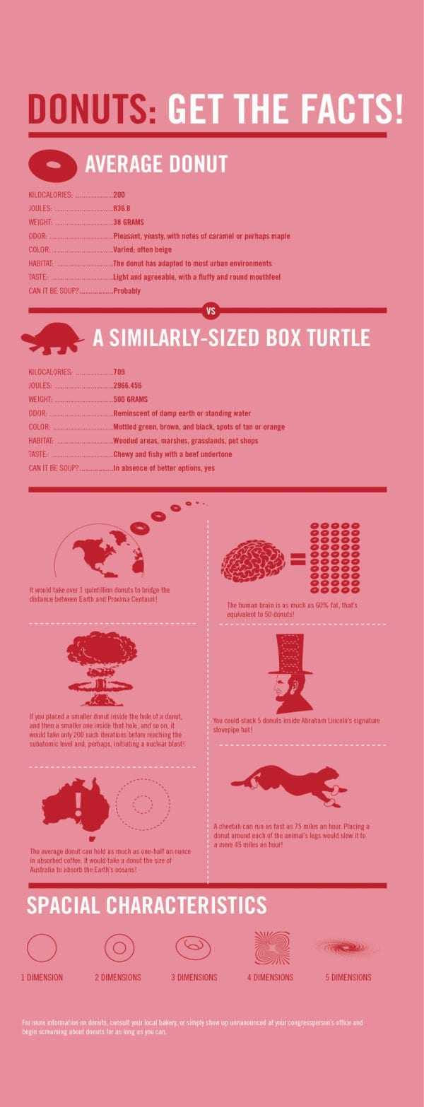 DONUTS: GET THE FACTS - BIRDY MAGAZINE
