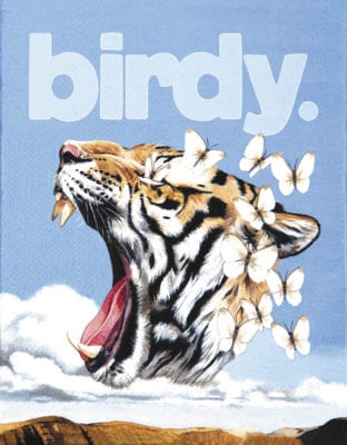 Issues | Birdy Magazine | Denver's Art and Lit Magazine