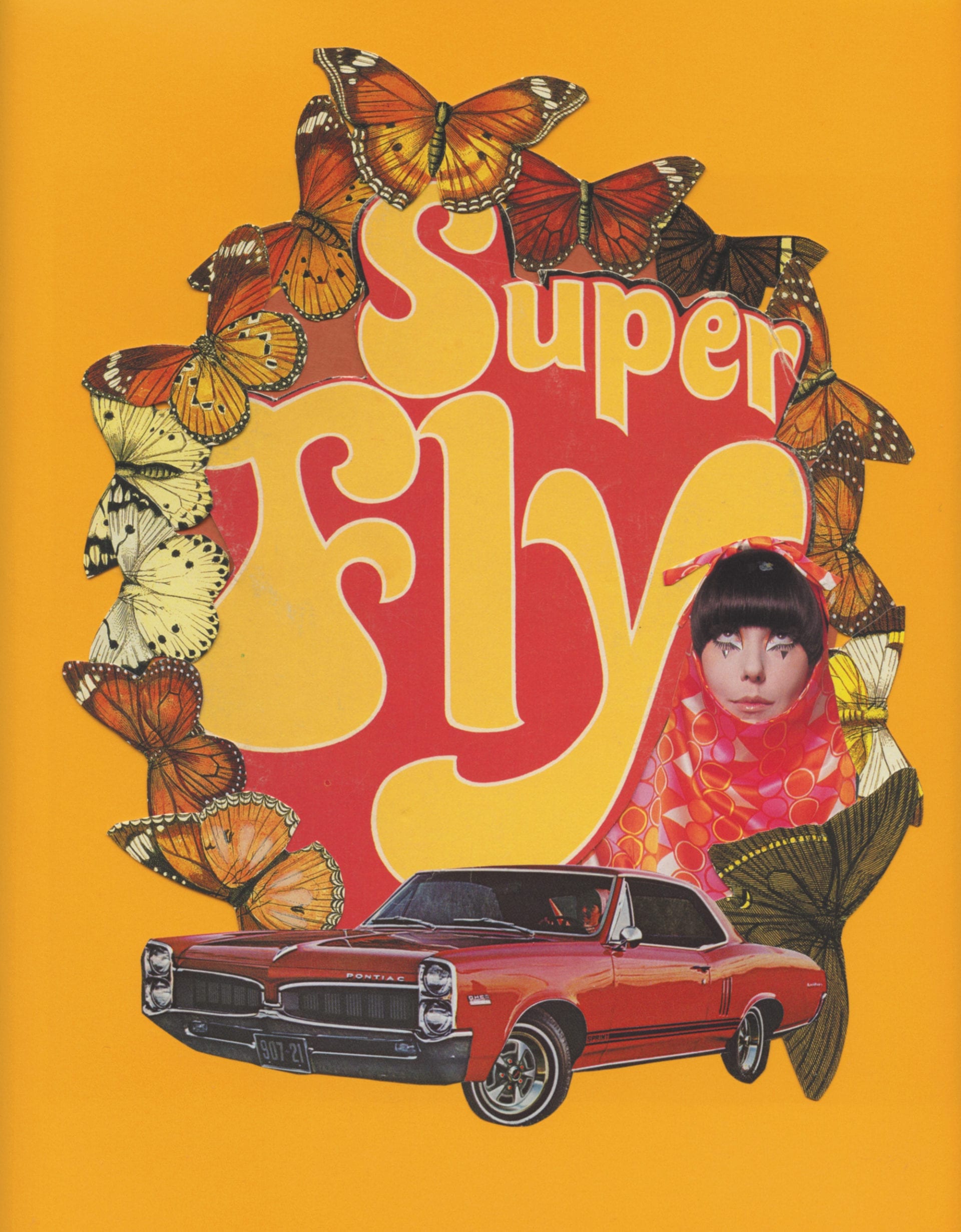 PLANET ROCK // SUPER FLY: Steve Haney - BIRDY MAGAZINE