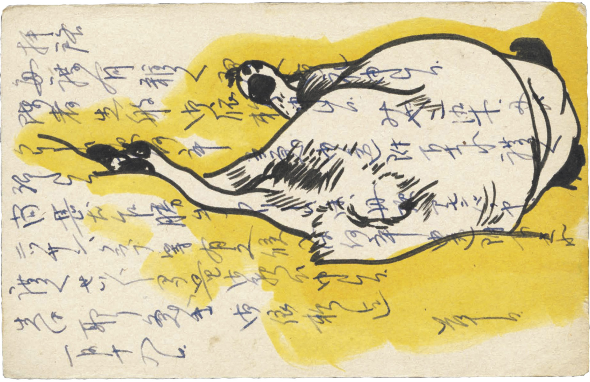 COLLECTED EVIDENCE: Mark Mothersbaugh - BIRDY MAGAZINE