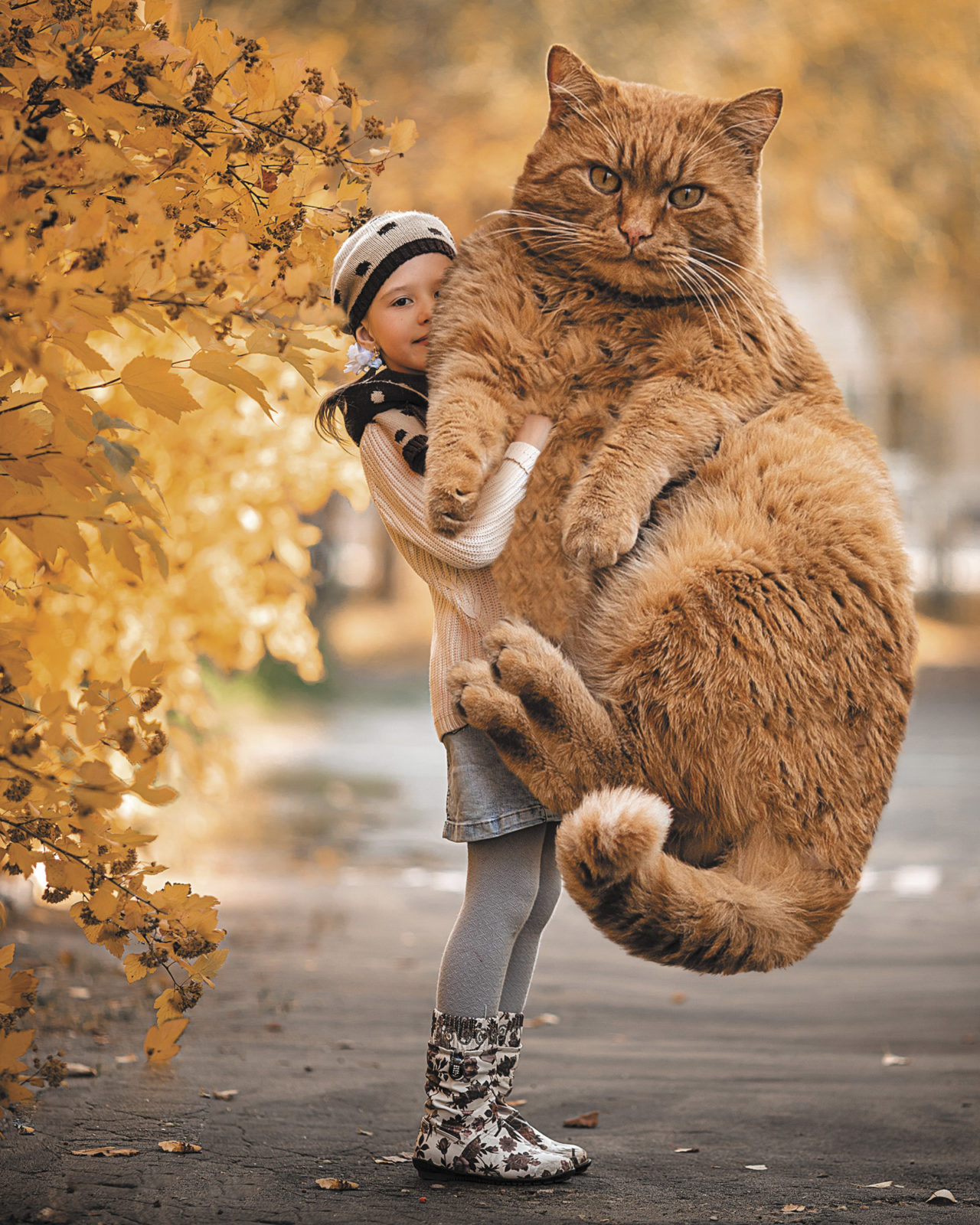 She Ain't Heavy, She's My Kitty by Matt McCarthy - BIRDY MAGAZINE