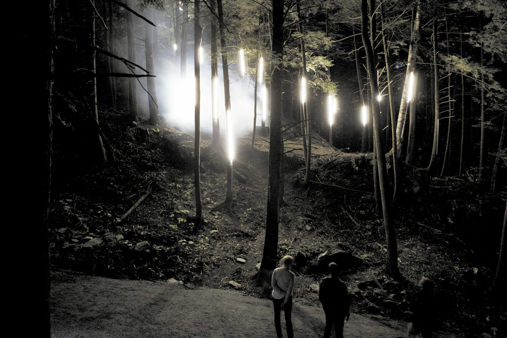 Meow Wolf’s Guide to Immersive Art Experiences by Mackenzie Montoya ...