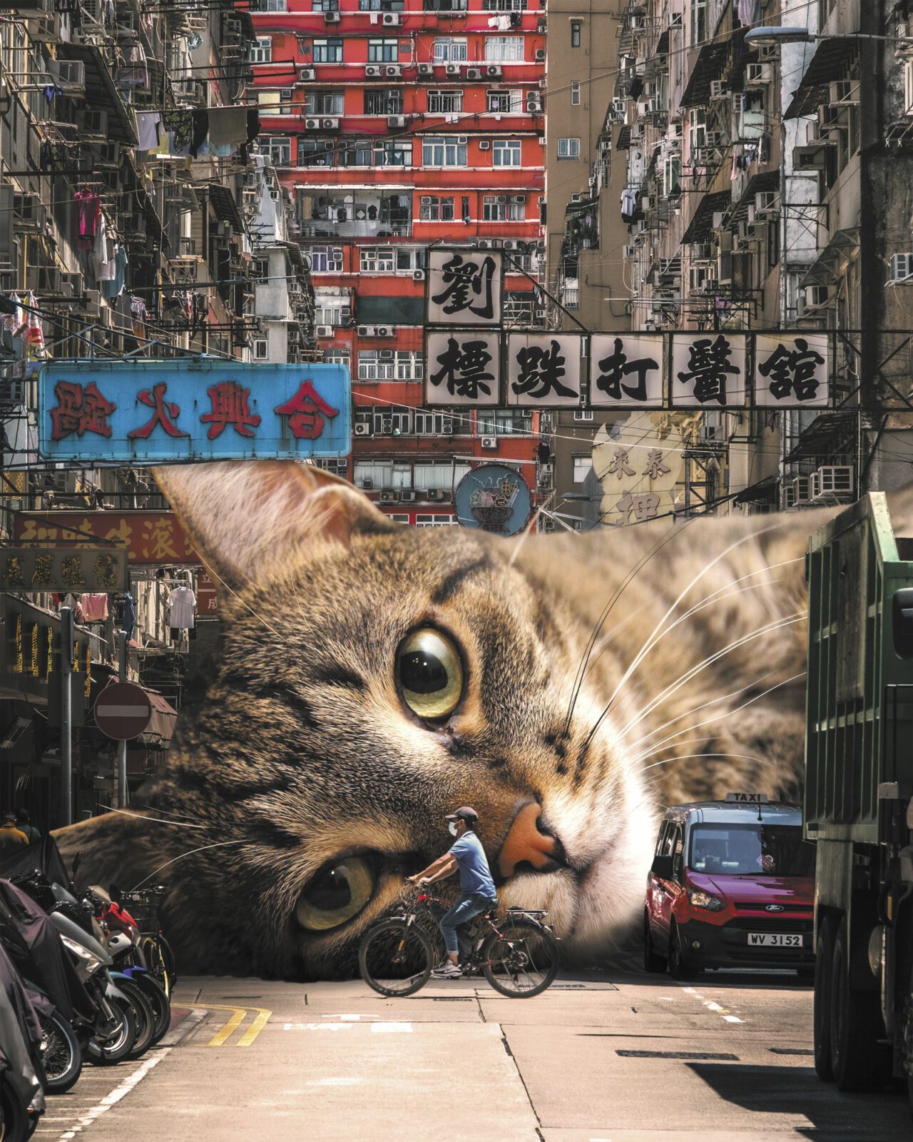 Redirecting To The Fastest Route by Matt McCarthy - BIRDY MAGAZINE