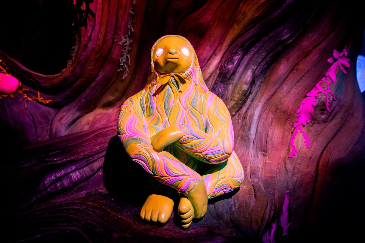 Creature Feature: A Brief Glimpse Into The Lives of Those Who Live At ...