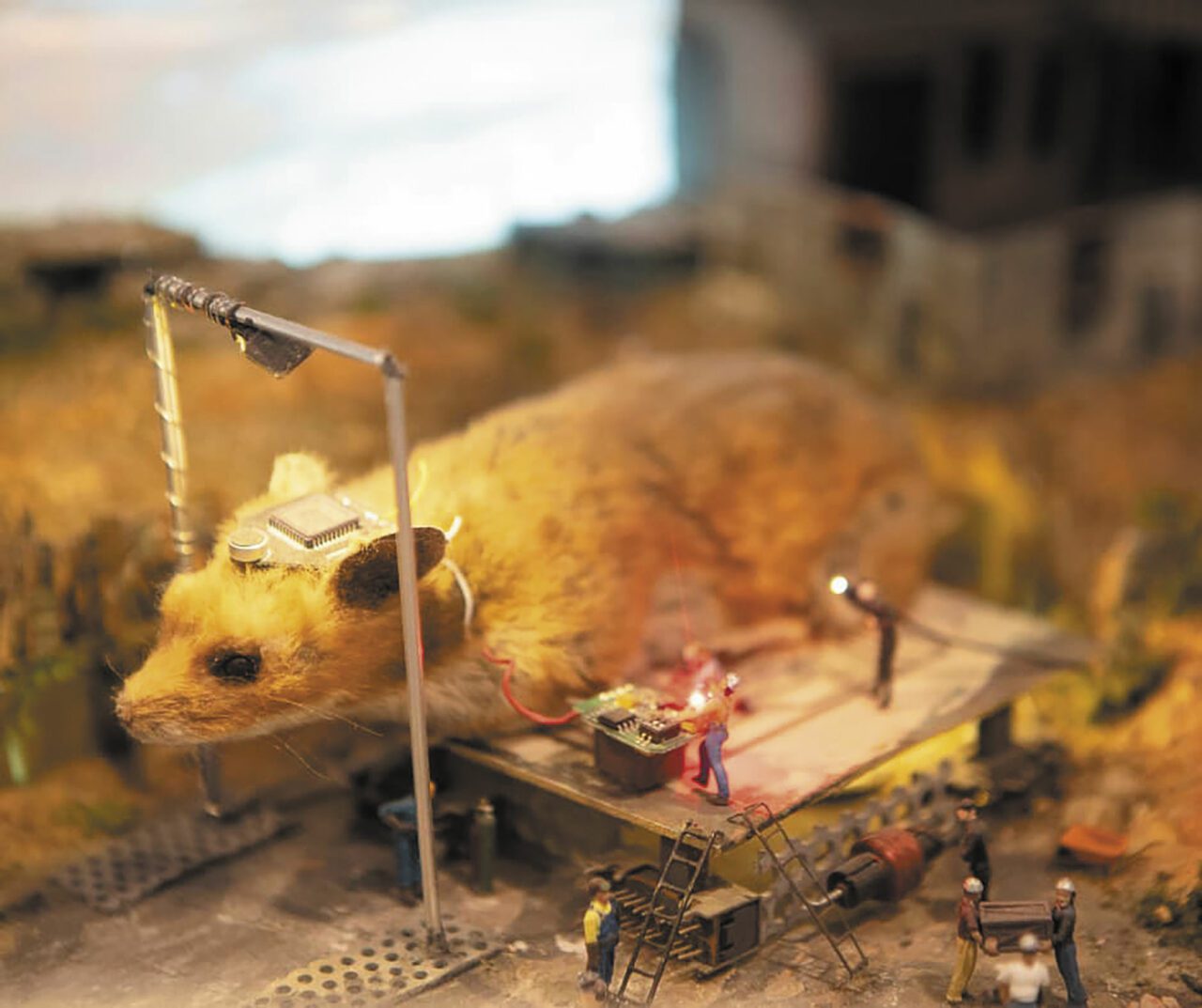 Take A Tour of Tiny Meow Wolf by Jena Braziel - BIRDY MAGAZINE