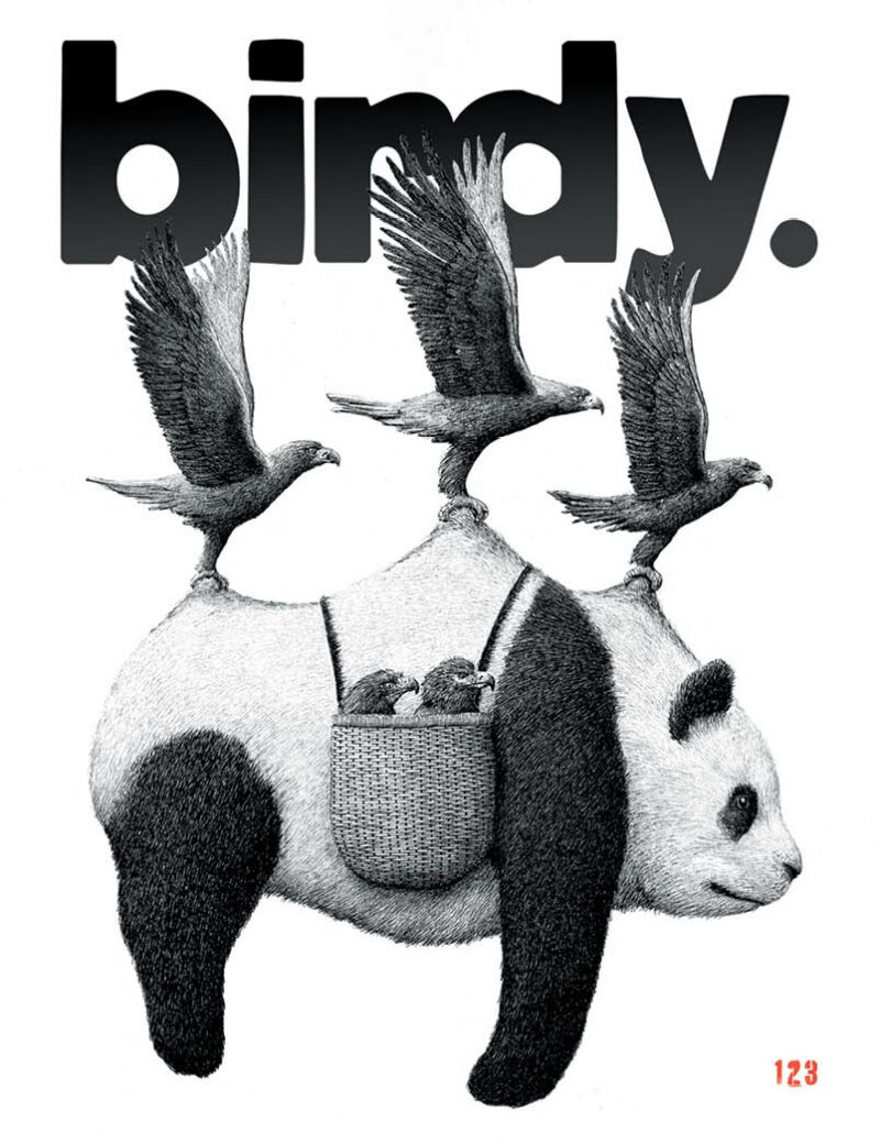 Birdy Cover Poster - BIRDY MAGAZINE
